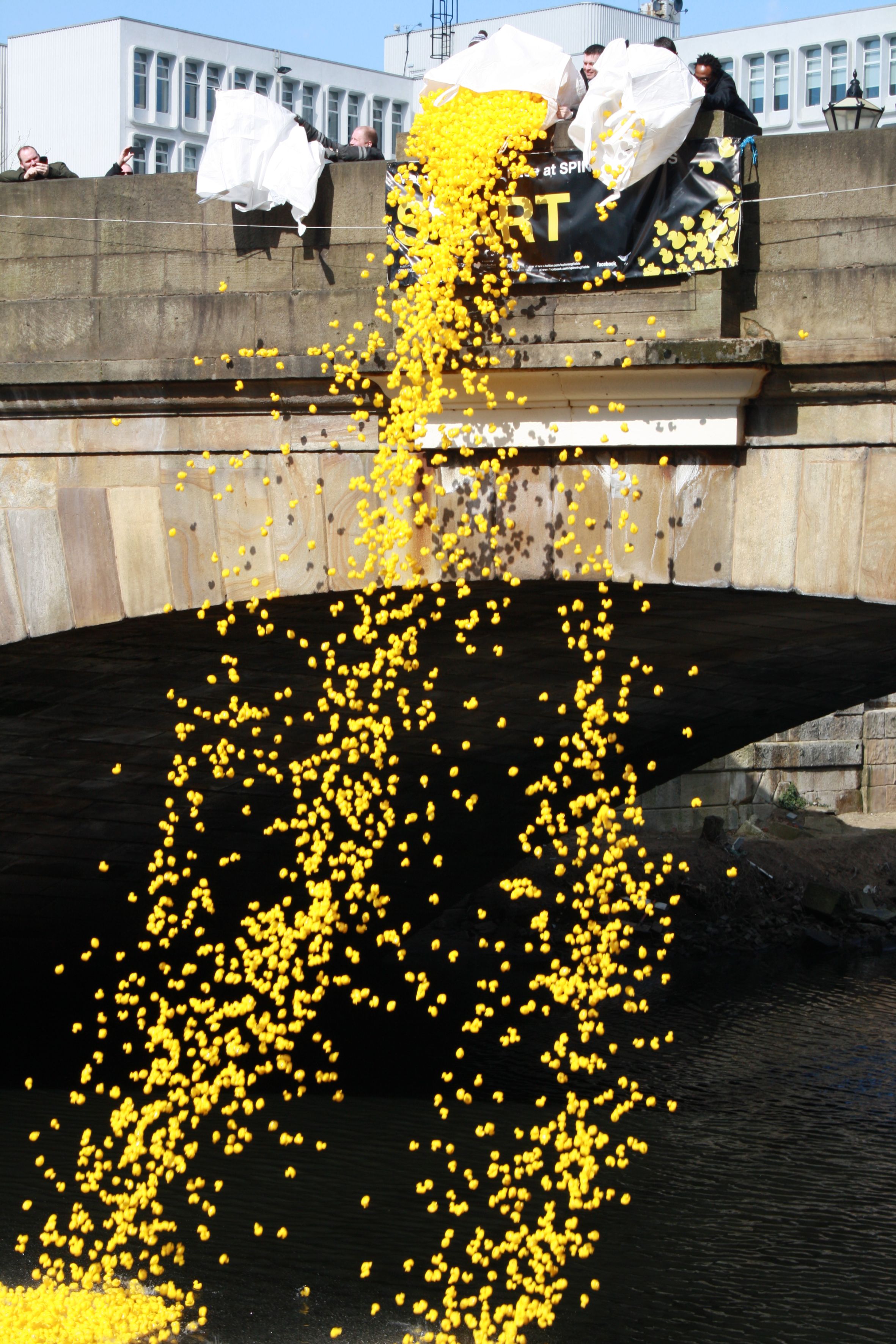 Manchester Duck Race returns to Spinningfields for sixth year