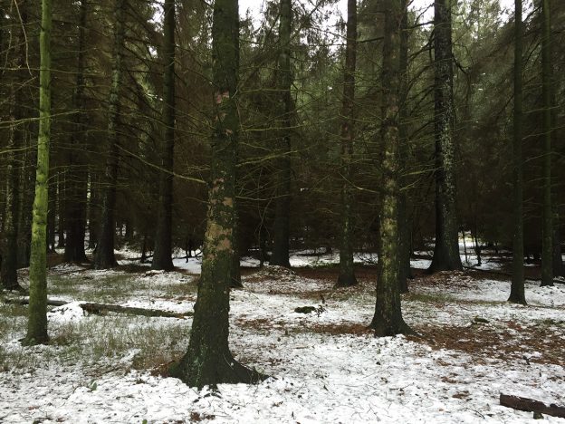 The best walks to enjoy around Manchester - Manchester’s Finest