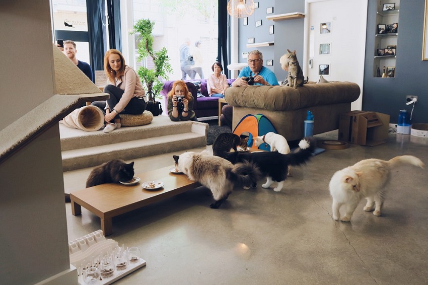 Ten Unusual Places to Pop the Question - Manchester’s Finest