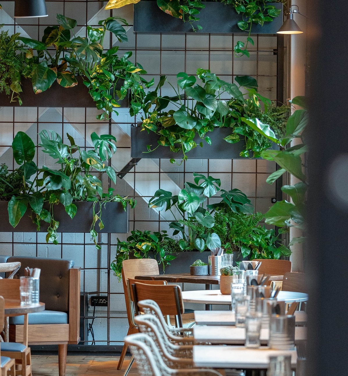The Counter House: A wonderful example of true neighbourhood dining in ...