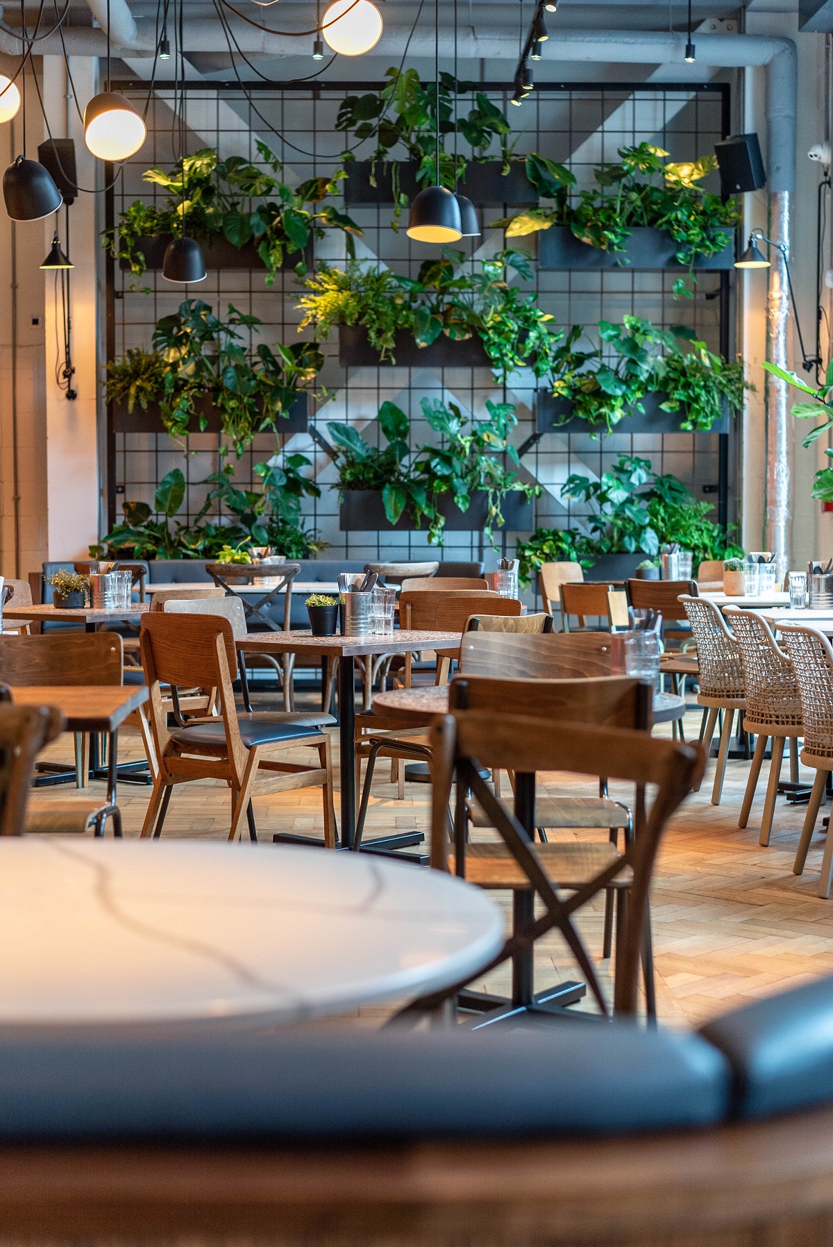 The Counter House: A wonderful example of true neighbourhood dining in ...