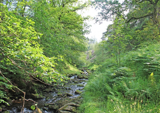 Walks Near Manchester: The Goyt Valley - Manchester’s Finest