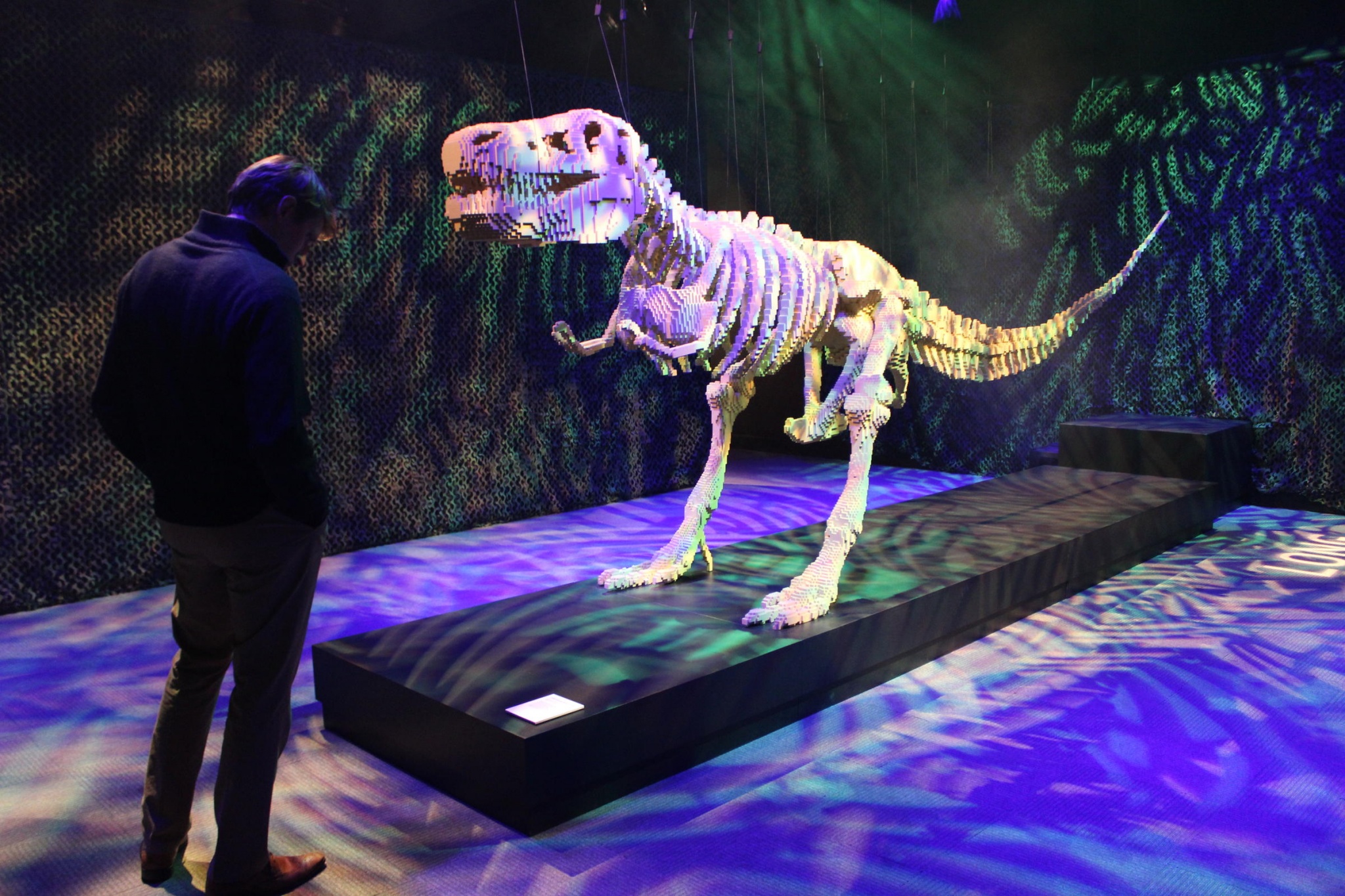 LEGO loving kids go for FREE to The Art of the Brick this Half Term ...