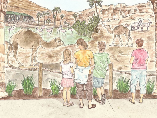 Everything We Know About Manchester's Zoo So Far... - Manchester’s Finest