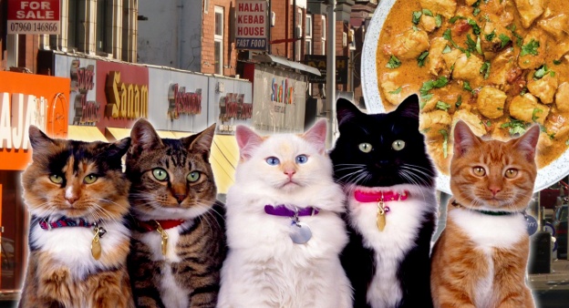 Myths of Manchester: The Cat Curries of Rusholme - Manchester’s Finest