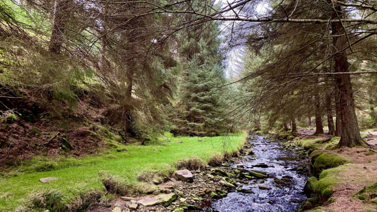 The best walks to enjoy around Manchester - Manchester’s Finest