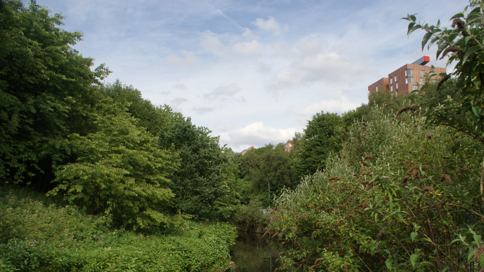 A HUGE New Public Green Space for Manchester - City River Park ...