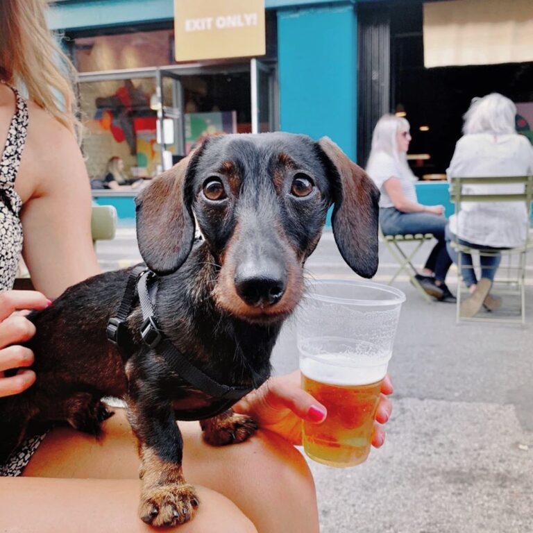 The Guide to Eating & Drinking Outside in Manchester - Manchester’s Finest