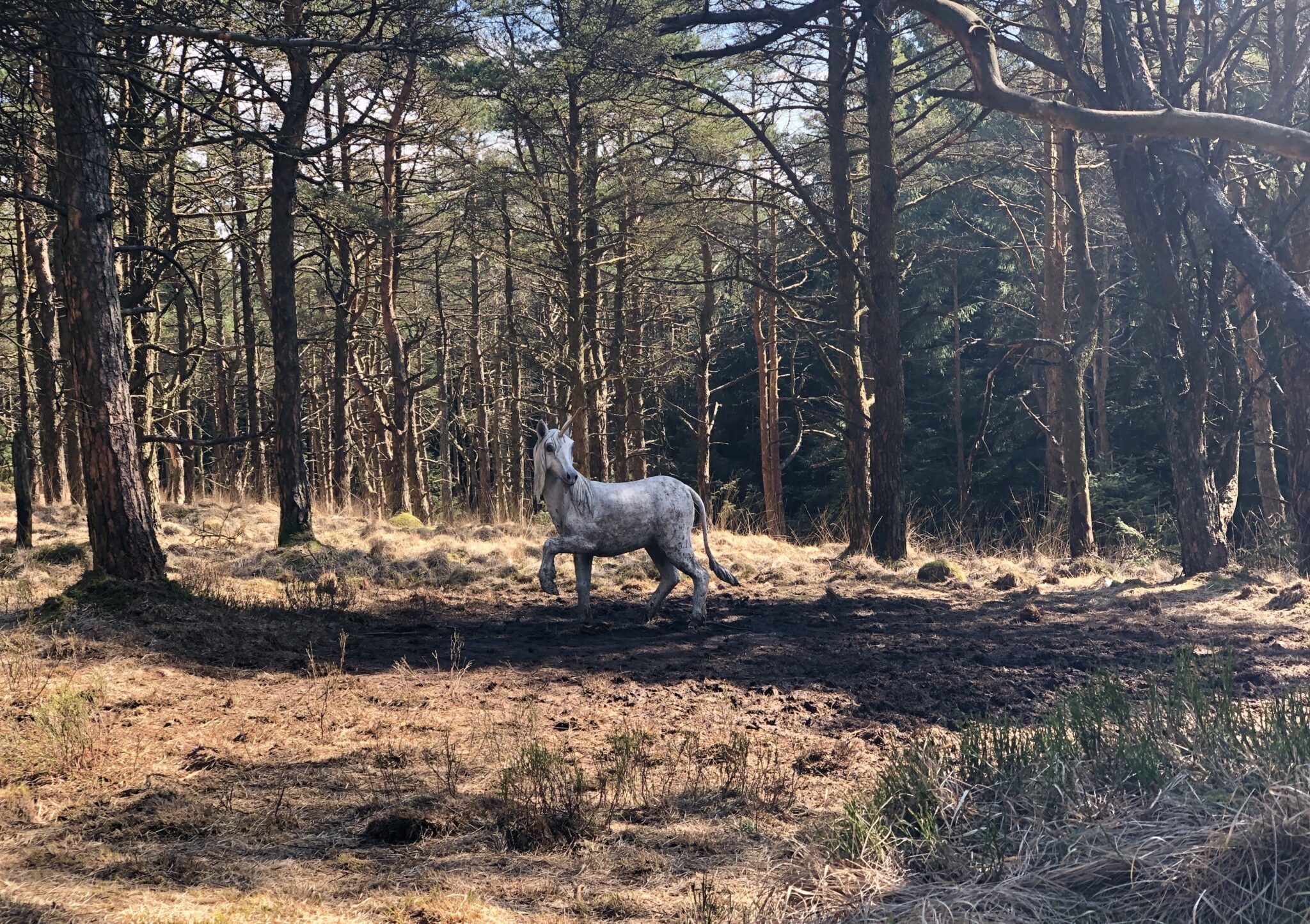 Weekend Walks: The Ribble Valley - Manchester’s Finest