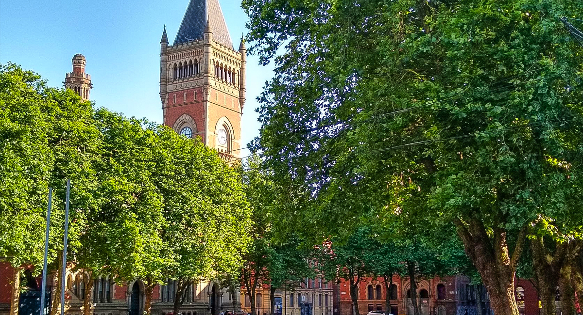 The Campaign to Save these Magnificent City Centre Trees - Manchester’s ...