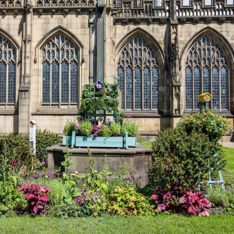 COMING SOON: The Manchester Flower Show is taking over the city again ...
