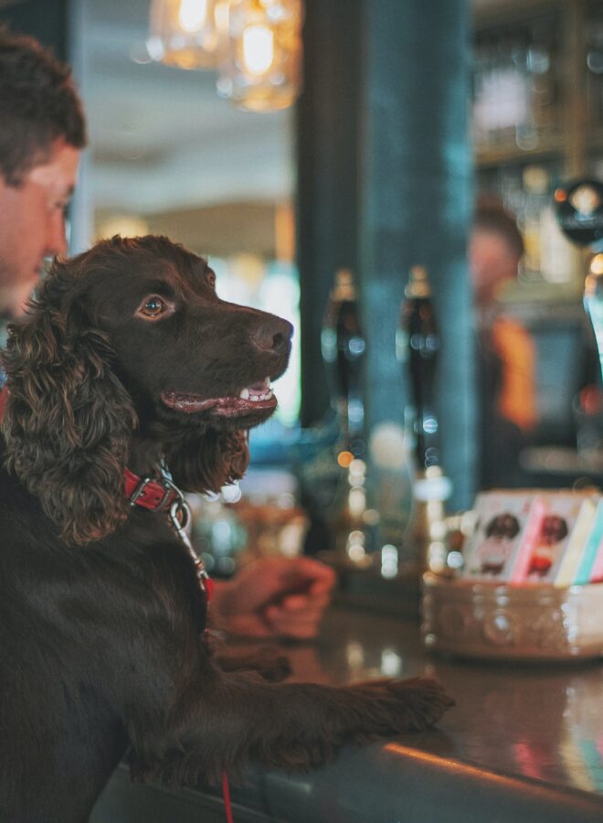 Find the best restaurants, bars and things to do in Manchester