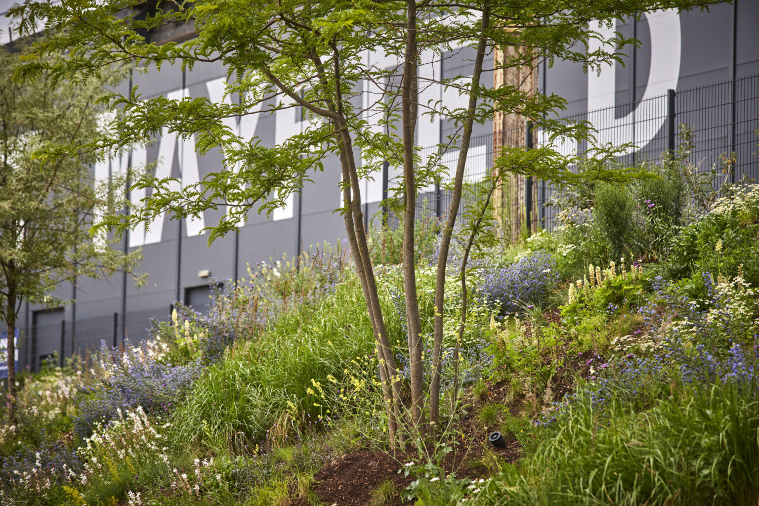 Mayfield: The City Centre’s First New Public Park in 100 years Opens ...