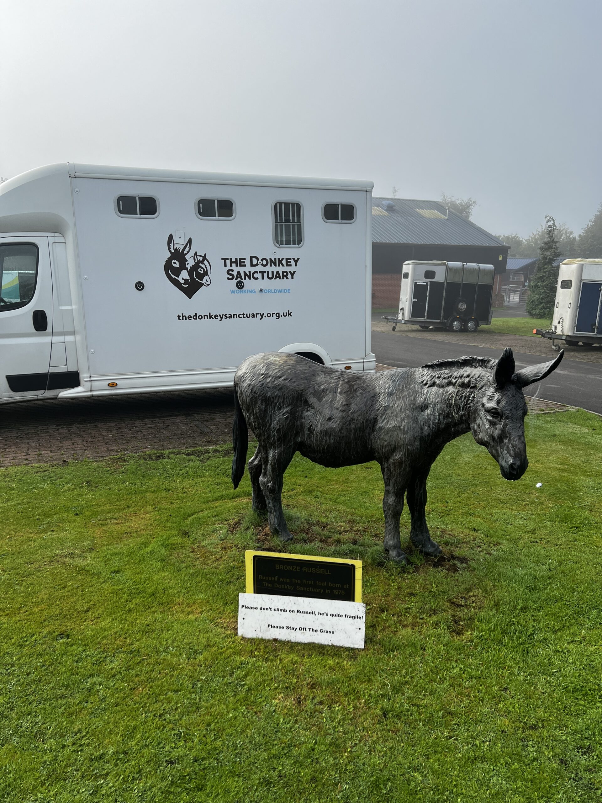 Free Things to Do in Manchester: The Donkey Sanctuary - Manchester’s Finest