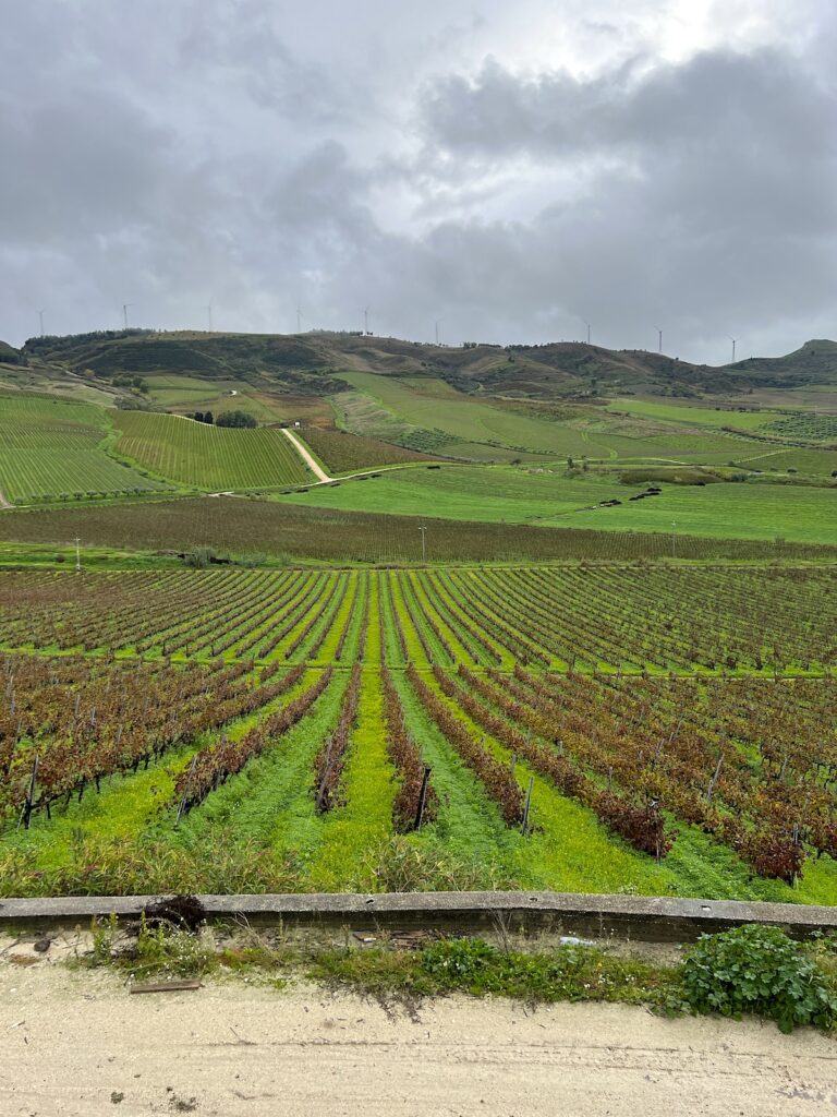 From Manchester to: Palermo Sicily to learn about Sicilian wine ...