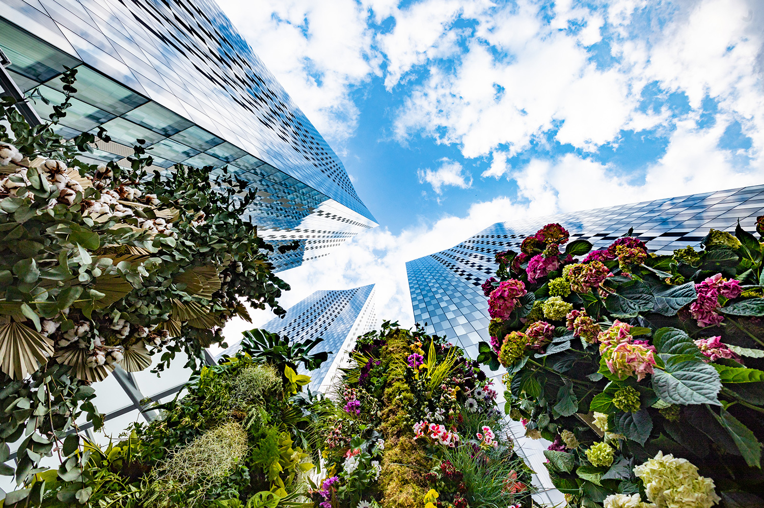 The Manchester Flower Festival is taking over the city at the end of ...