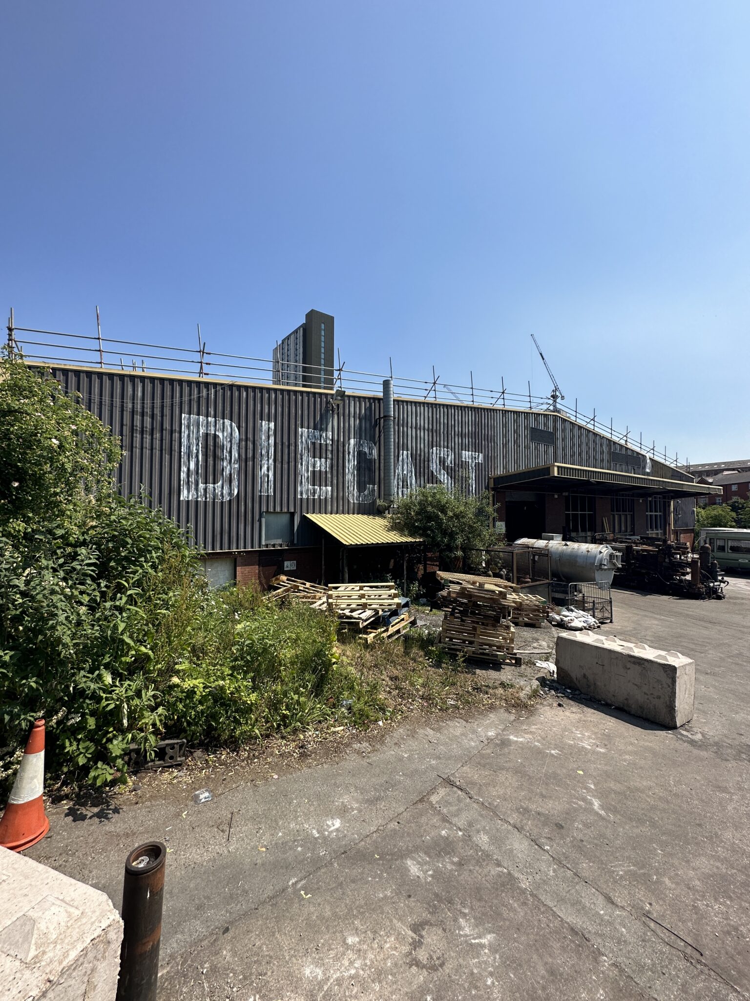 DieCast announces its official launch date with a grand opening ...