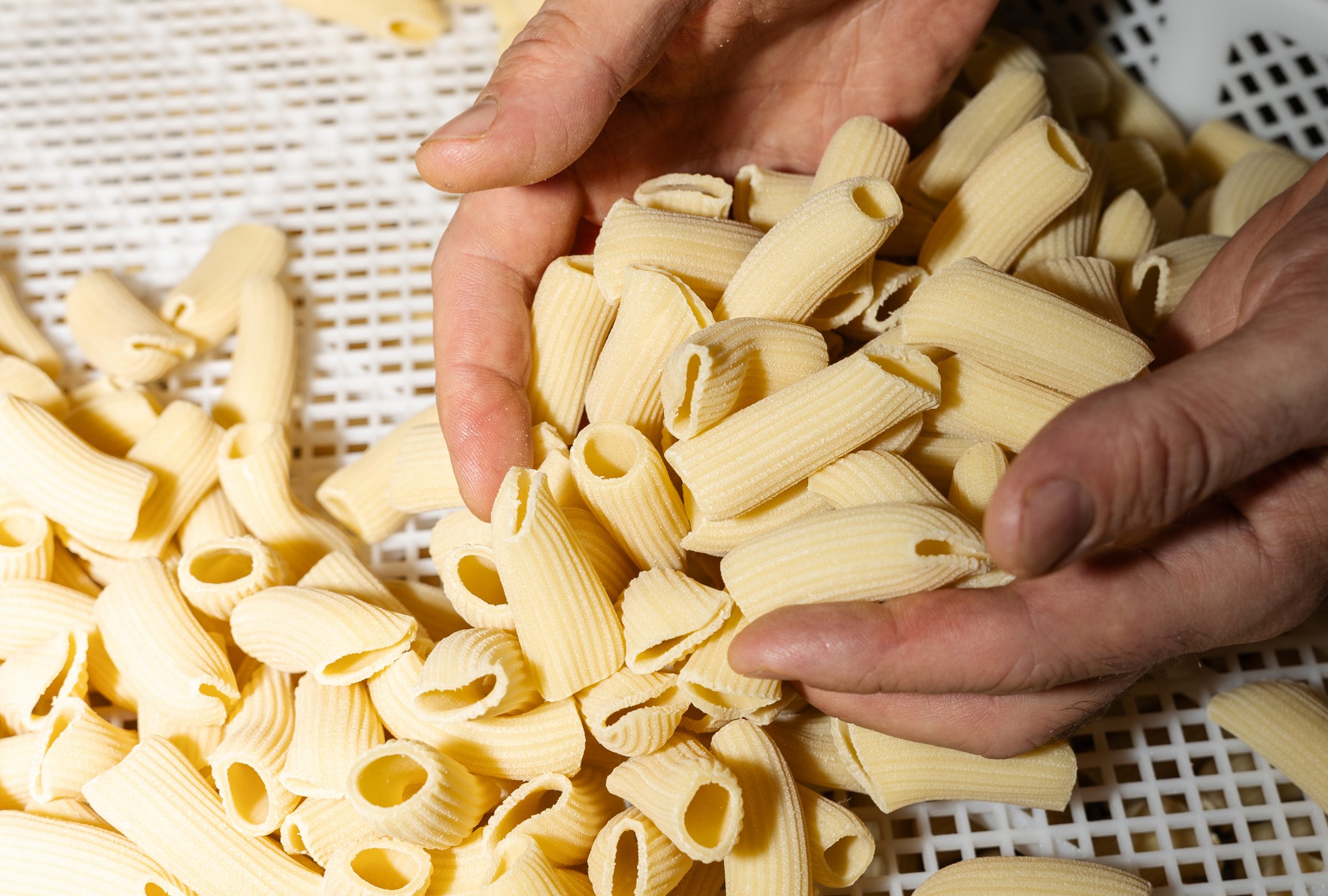 New pasta concept Rigatoni’s will replace Sud locations across ...