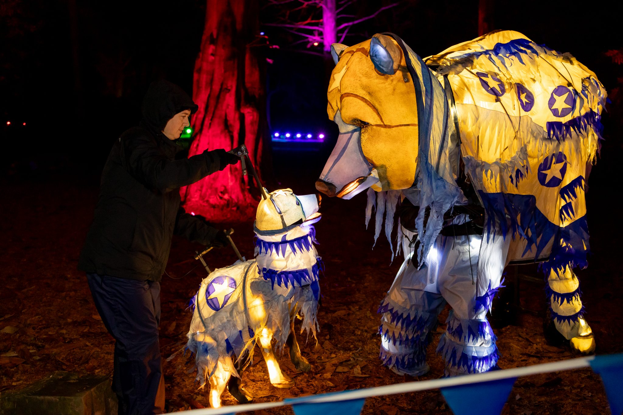 Celebrate the Winter Solstice at the stunning Tatton Park Gardens ...