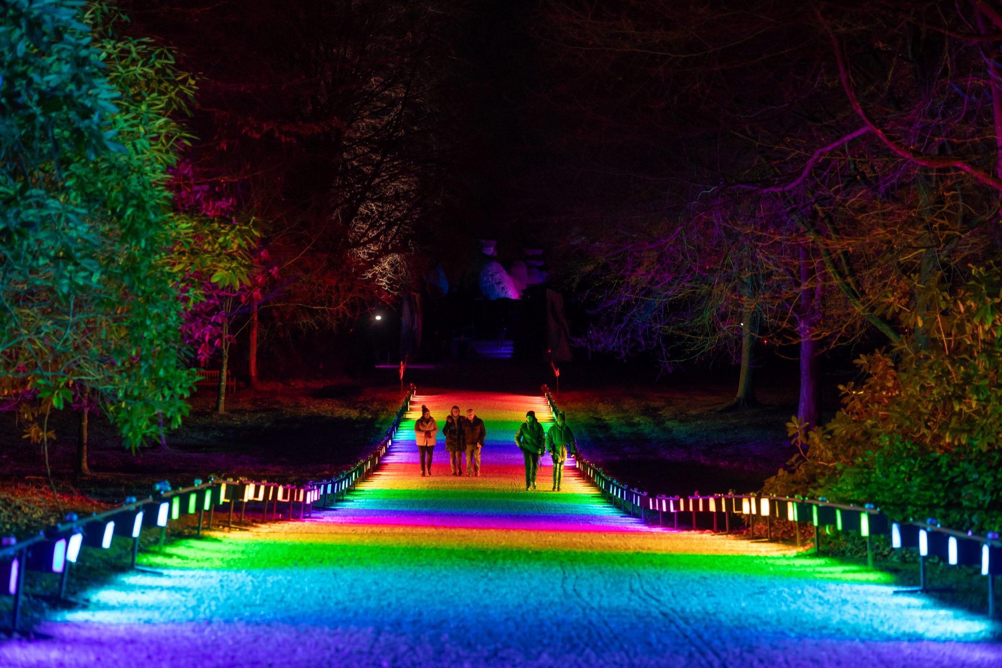 Celebrate the Winter Solstice at the stunning Tatton Park Gardens ...