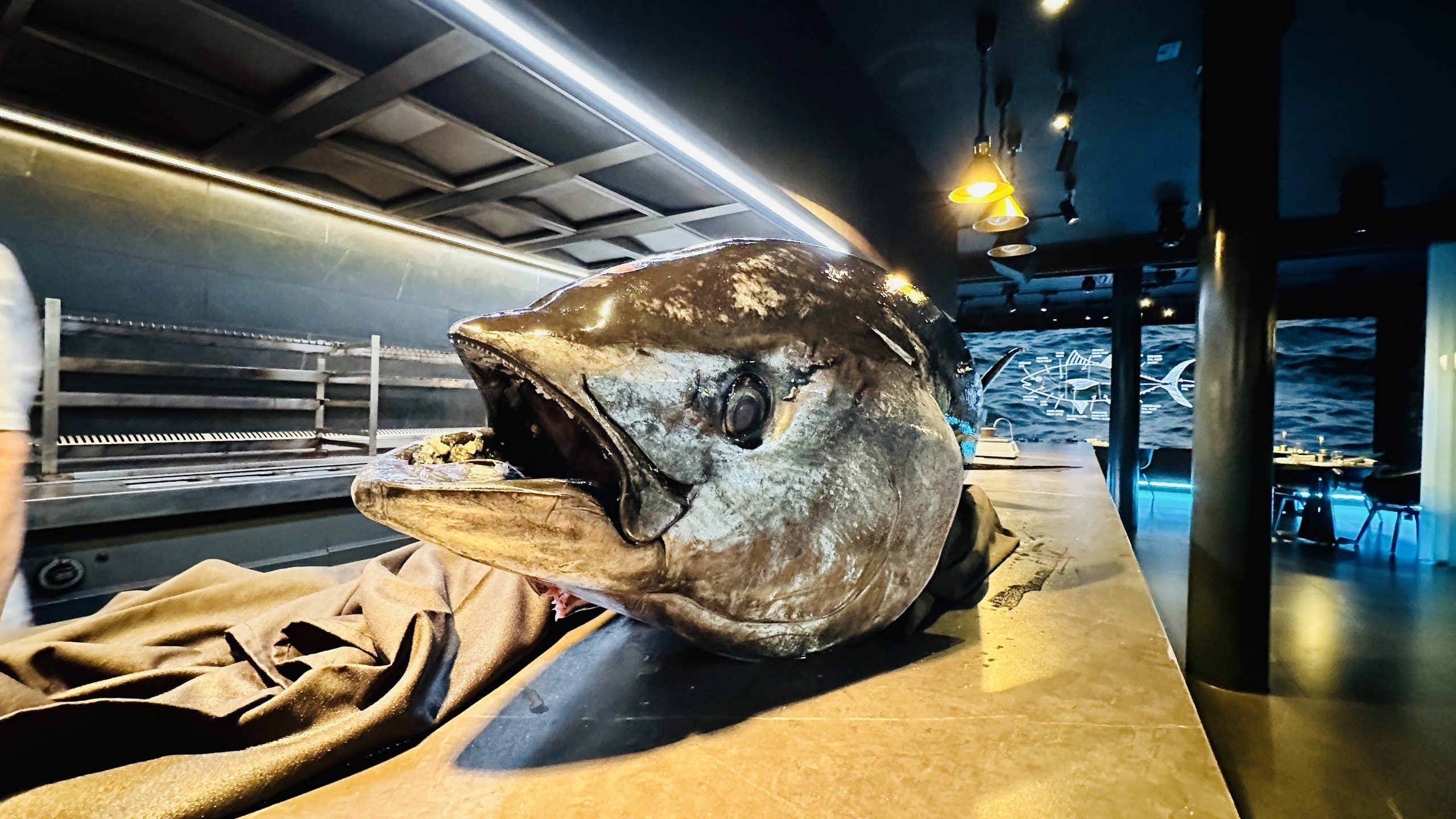 MUSU's Japanese ‘Live Tuna Cutting' is one of the most unique dining ...