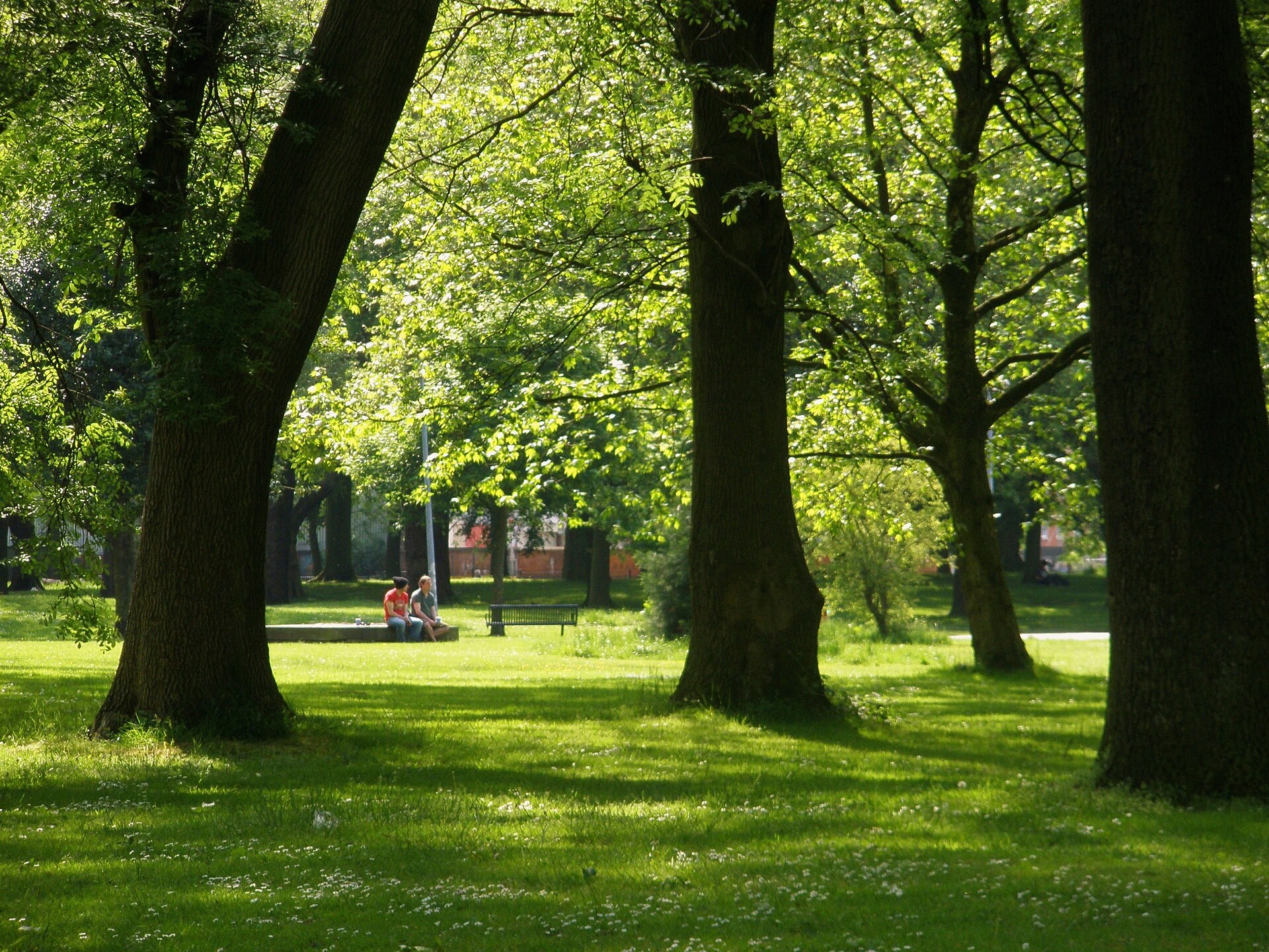 The best green spaces and parks in Manchester - Manchester’s Finest