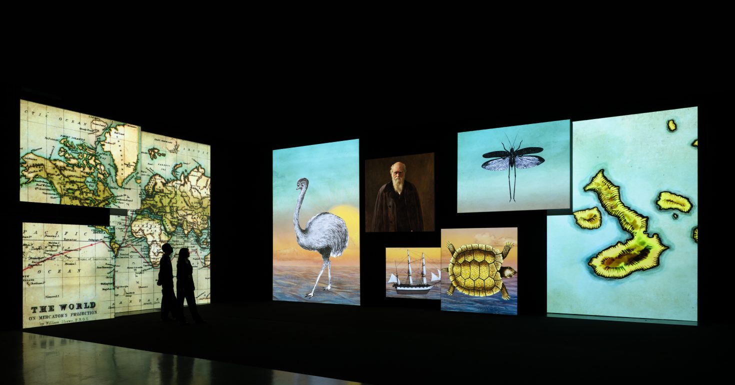 Immersive exhibition exploring the National Portrait Gallery’s ...