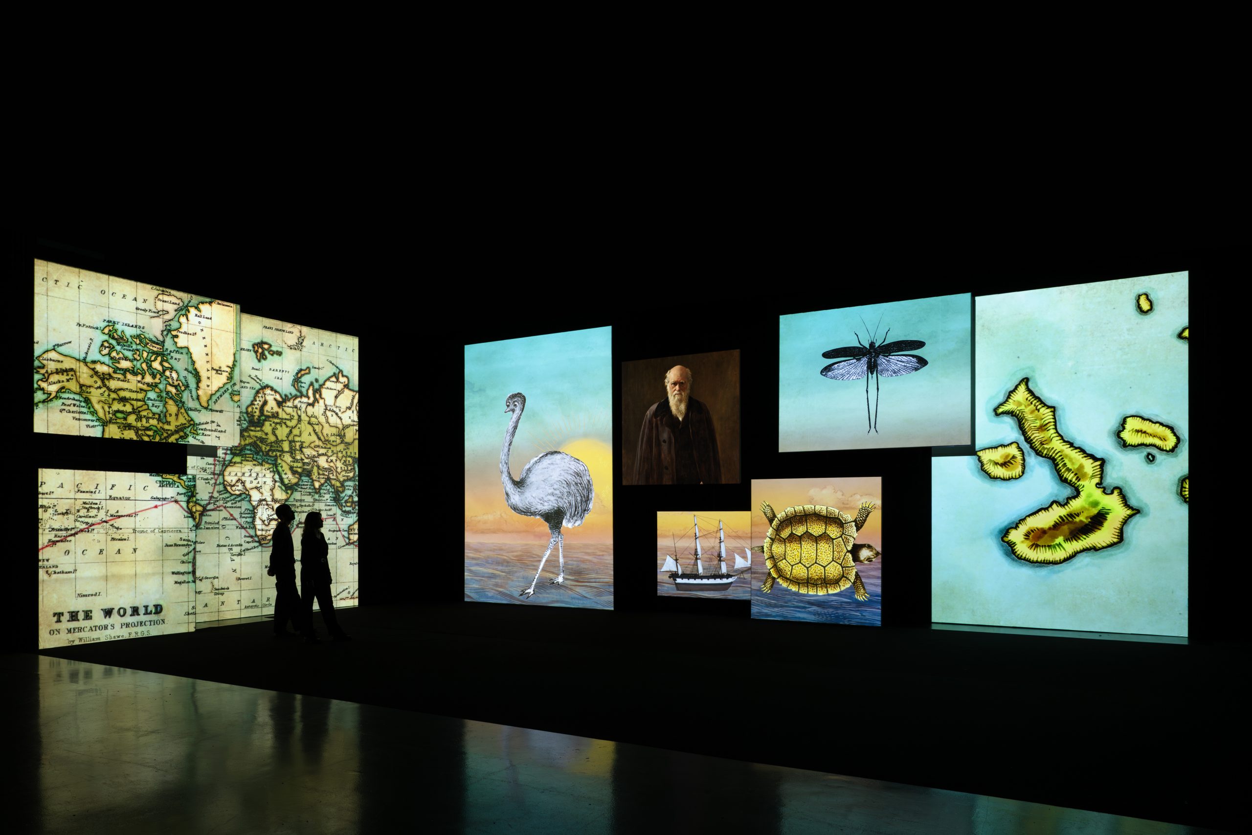 Immersive exhibition exploring the National Portrait Gallery’s ...