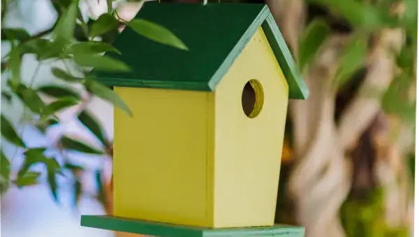 Birds’n’Bees Easter Trail - Manchester’s Finest